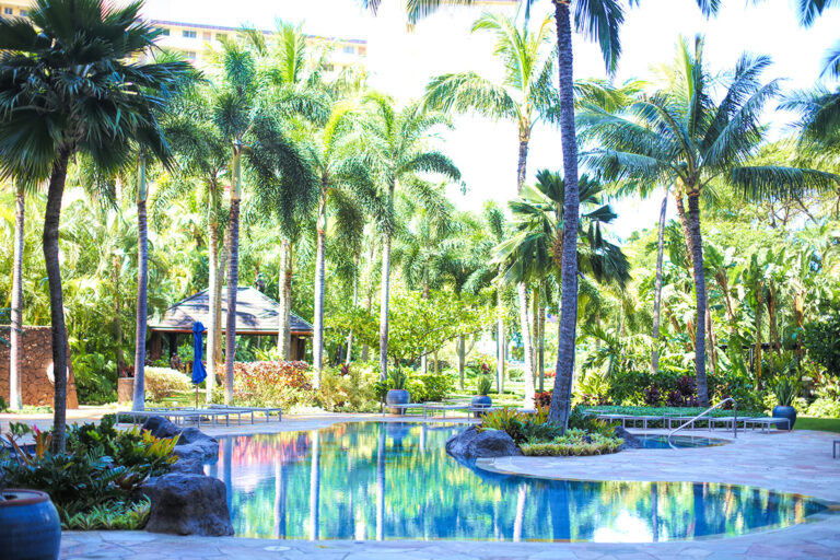 Ultimate Innovations - Commercial Landscaping