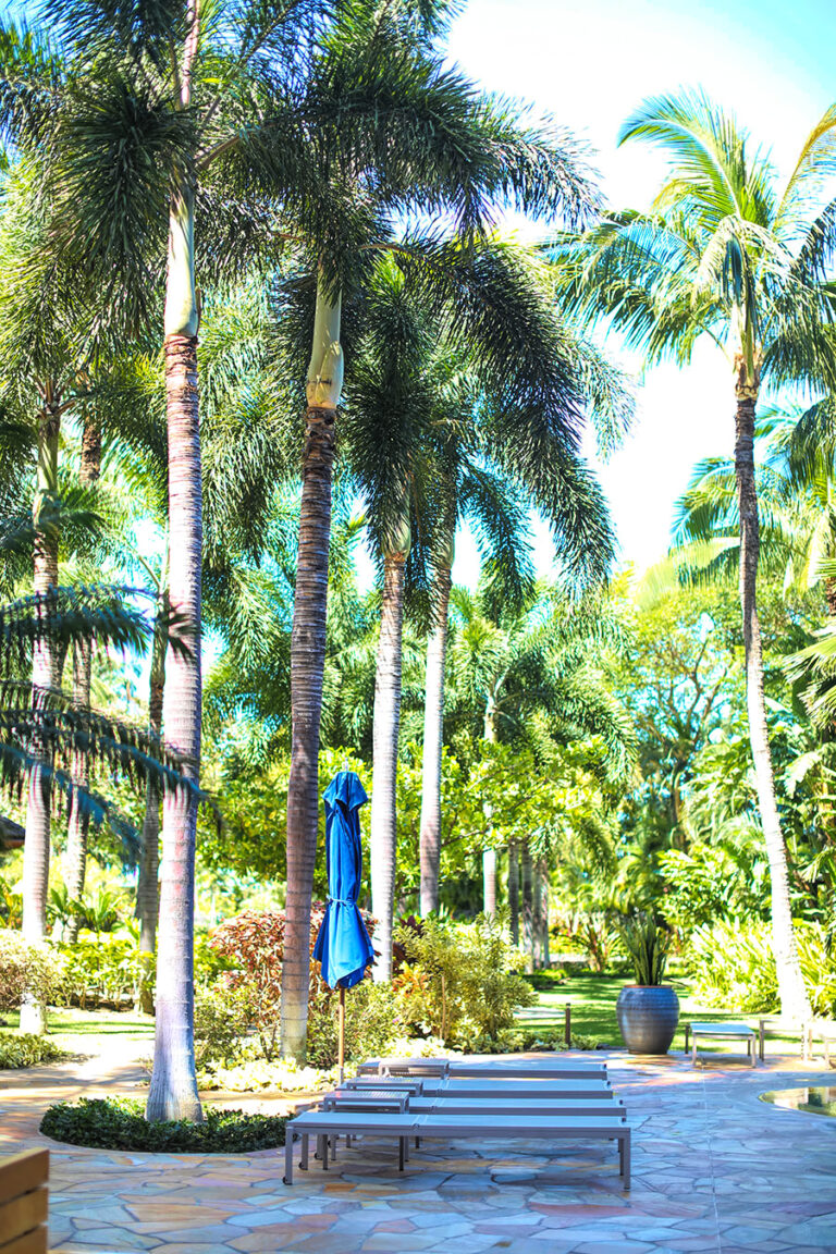 Landscape Design - Ultimate Innovations Inc.